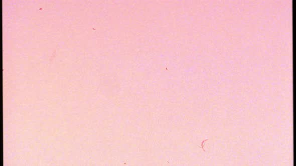 5 mm analog camcorder film tape texture, Motion Graphics | VideoHive