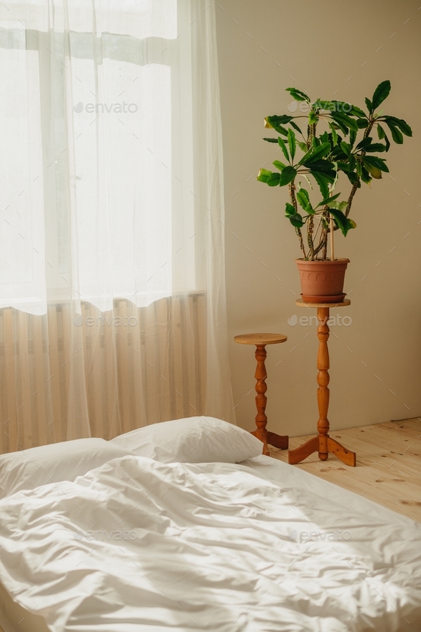 white bed sheets, interior design, plants, wooden foor Stock Photo by ...