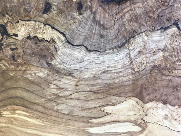 Wild wood grain spalted maple grain texture background wave Stock Photo ...