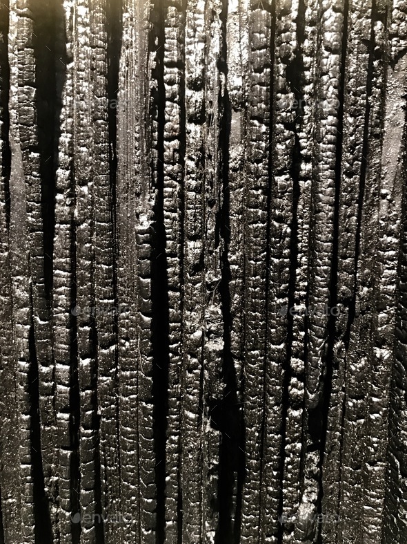 Chared burned your bed wood texture Stock Photo by statuslapa | PhotoDune