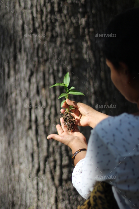 Plant trees and save our planet Stock Photo by ashishk75 | PhotoDune