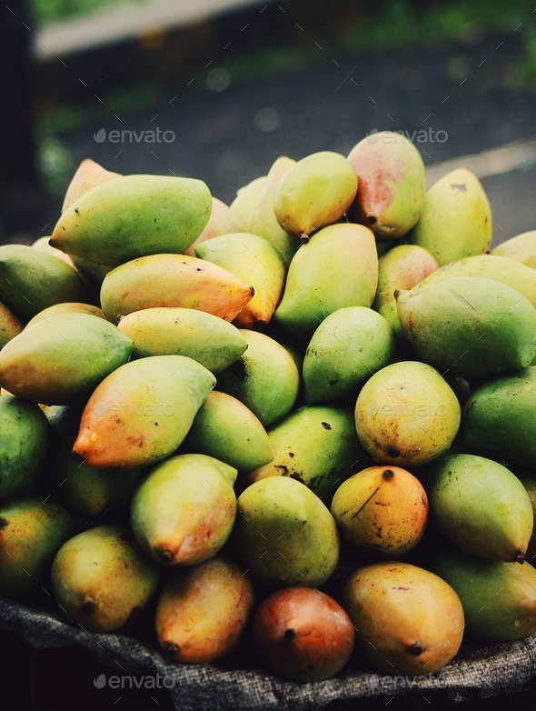 Mango is king of fruits Stock Photo by ashishk75 | PhotoDune