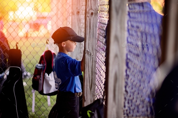 Little boy watching baseball game from the dugout Stock Photo by hwilson8