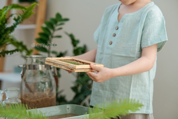 Sheet formation by handmade mould and deckle from paper pulp and dry ...