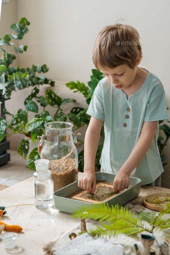 Sheet formation by handmade mould and deckle from paper pulp and dry ...