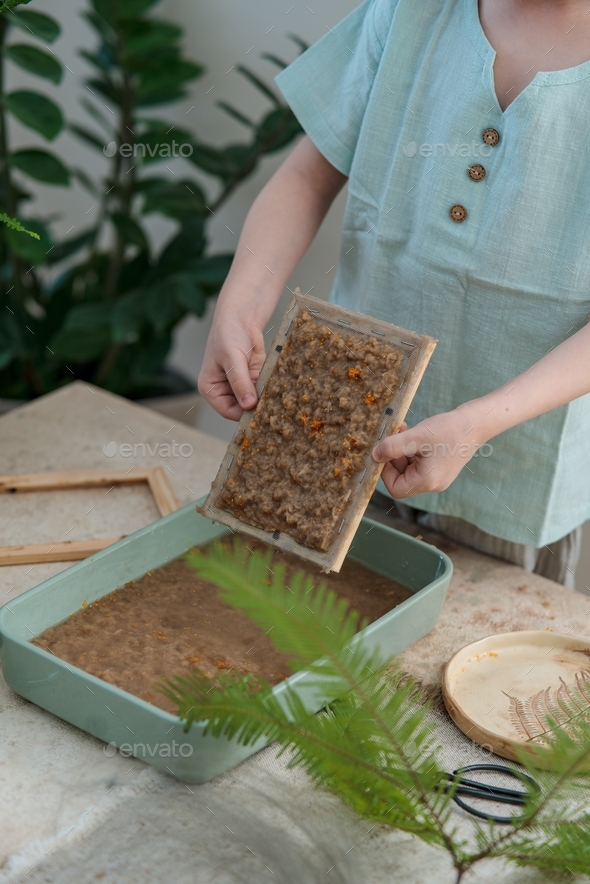 Sheet formation by handmade mould and deckle from paper pulp and dry ...