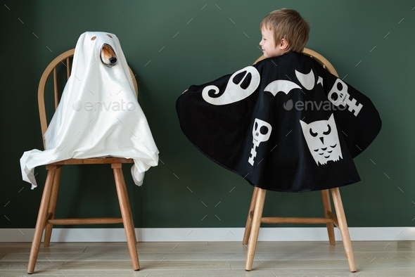 Happy Halloween! Funny dog in ghost costume and cute cloaked boy posing ...