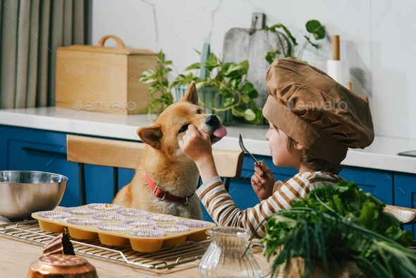 Little chef kid and his furry dog friend Shiba Inu cooking cupcakes in ...