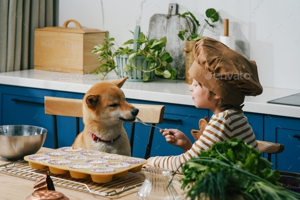 Little chef kid and his furry dog friend Shiba Inu cooking cupcakes in ...