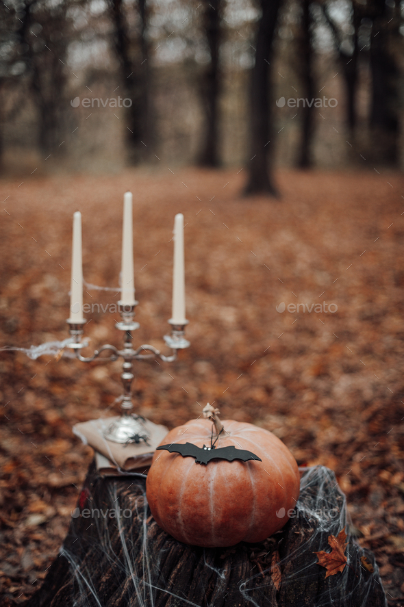 Halloween pumpkin and holiday decor at maple leaves among trees in ...