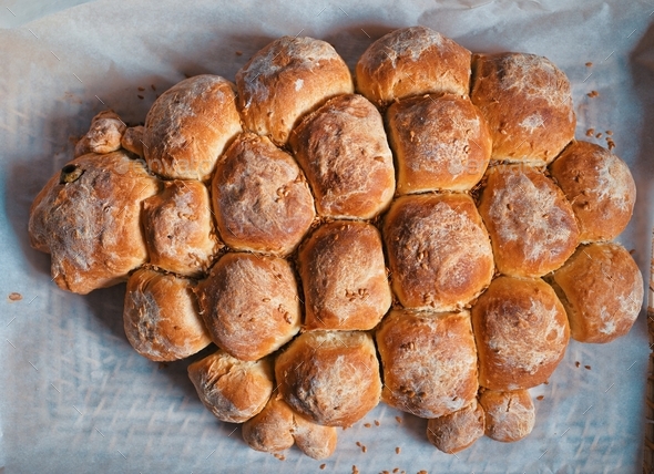 Buns of bread in shape of sheep Stock Photo by vedrana2701 | PhotoDune