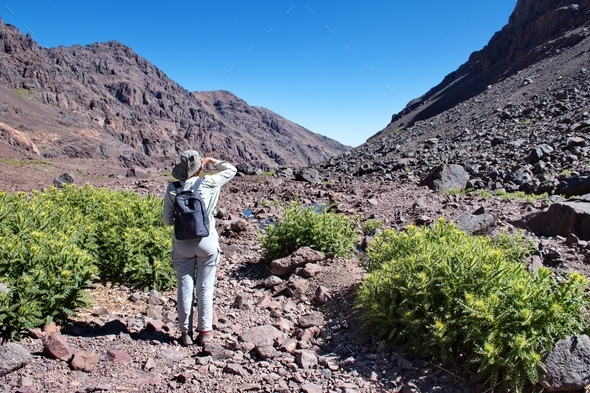 Hiking in High Atlas mountains in Morocco Stock Photo by vedrana2701