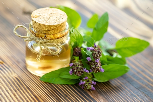 Prunella vulgaris, self-heal, carpenter's herb purple flower Stock ...