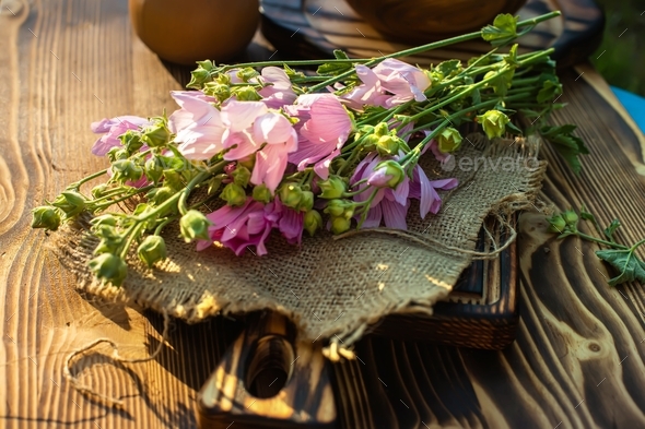 Malva alcea , greater musk-mallow, cut-leaved mallow flower Stock Photo ...