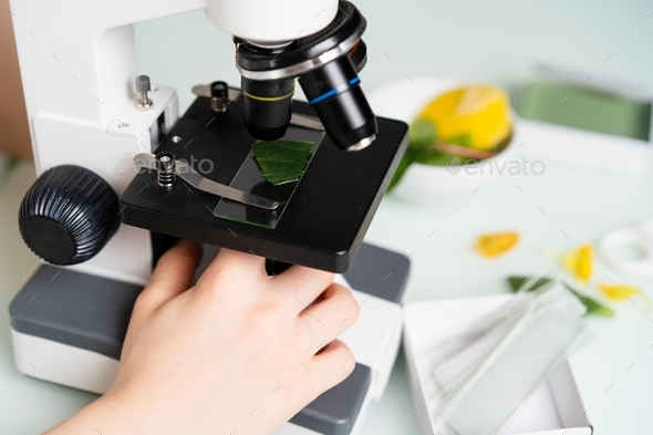 Hands and microscope, study of biology, botany and ecology of planet ...