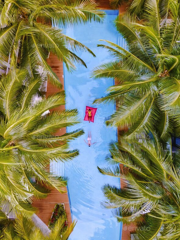 Drone view at swimming pool with palm trees, couple men and women in swimming pool Stock Photo ...