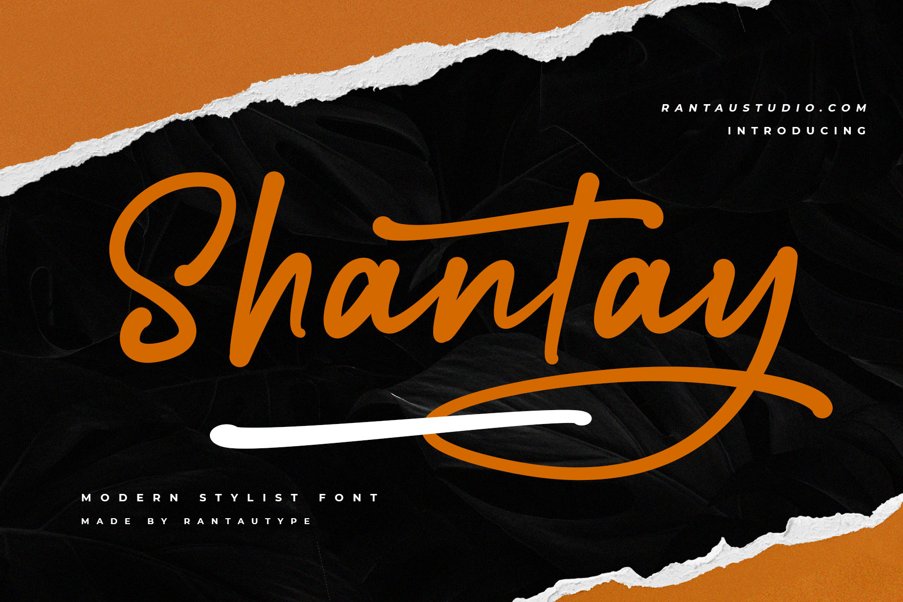 Shantay, Fonts | GraphicRiver