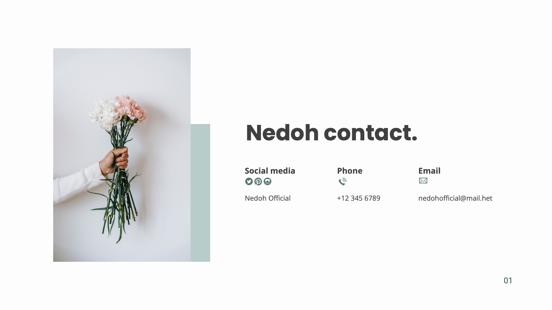 Nedoh Business Plan Powerpoint Presentation Template, Presentation ...