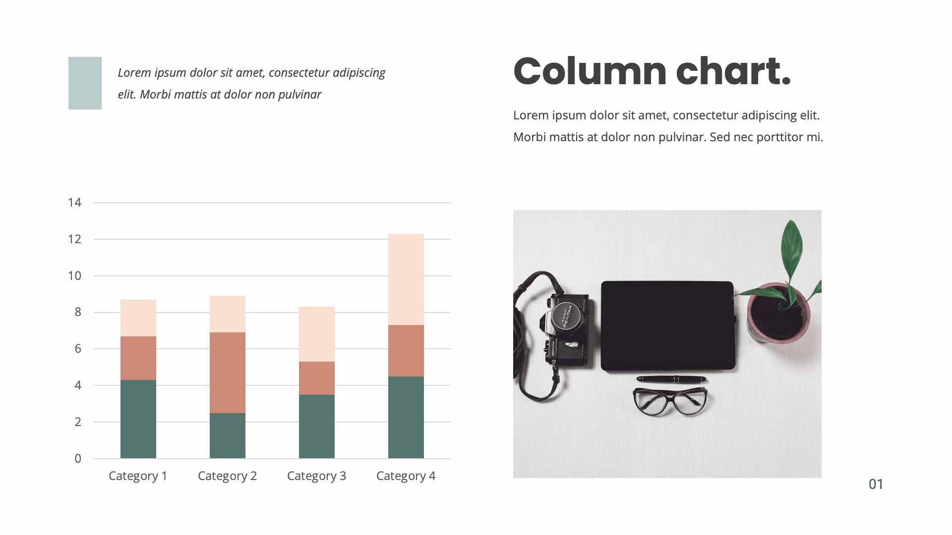 Nedoh Business Plan Keynote Presentation Template, Presentation Templates
