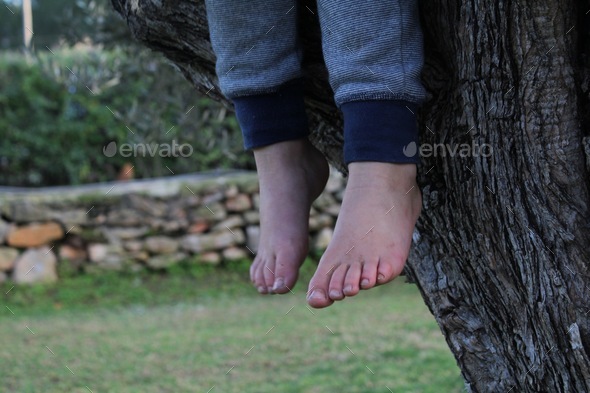 Childs feet in a tree Stock Photo by pernilla11 | PhotoDune