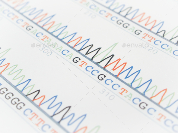 Chart of nucleotide sequences (DNA sequences) Stock Photo by Buntan2019