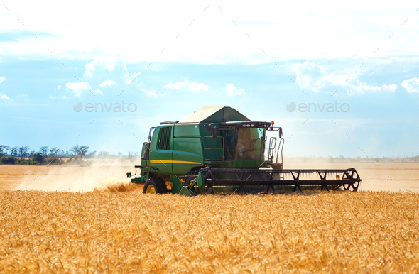 Time to harvest! Beautiful view of the work of the combine harvesting ...