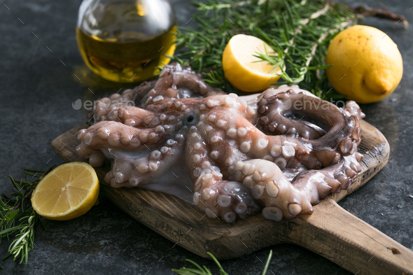 Octopus. Creative concept of healthy food with photos of delicious ...
