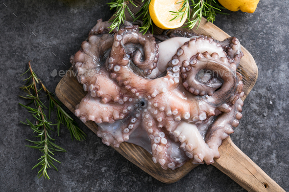 Octopus. Creative concept of healthy food with photos of delicious ...