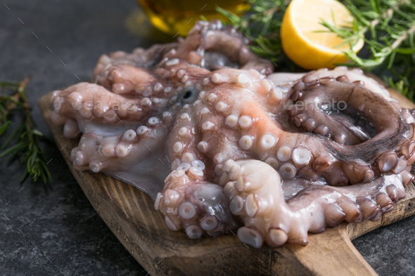Octopus. Creative concept of healthy food with photos of delicious ...