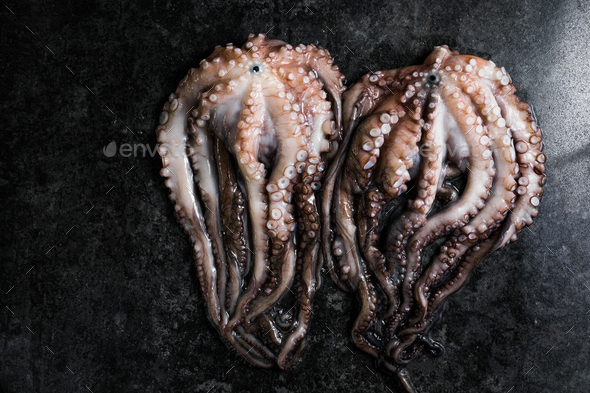Octopus. Creative concept of healthy food with photos of delicious ...