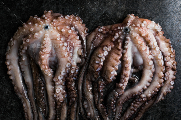 Octopus. Creative concept of healthy food with photos of delicious ...