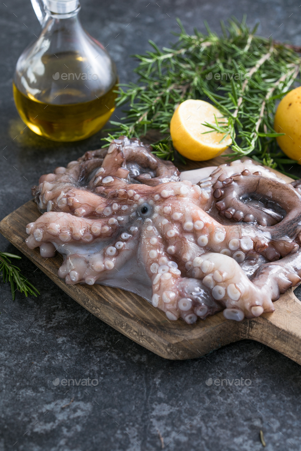 Octopus. Creative concept of healthy food with photos of delicious ...
