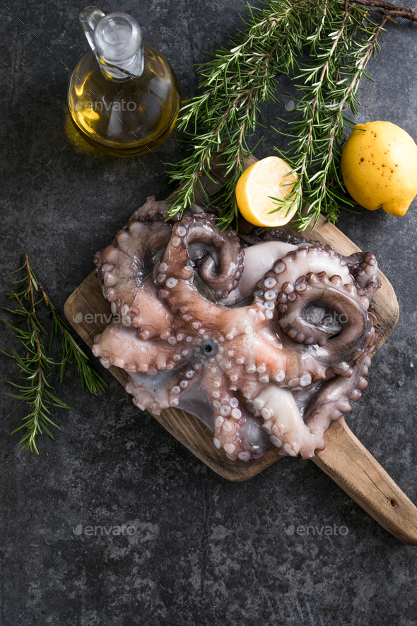 Octopus. Creative concept of healthy food with photos of delicious ...
