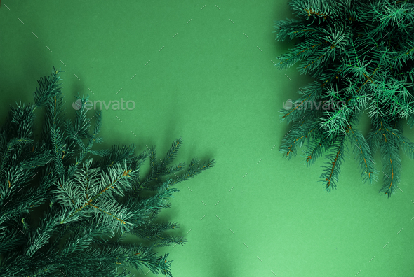 Christmas green background. Pine branches, needles and Christmas tree ...