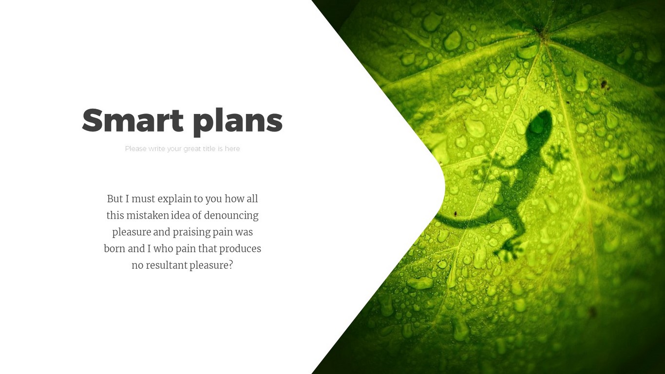 Modern Creative Business Plan, Presentation Templates | GraphicRiver