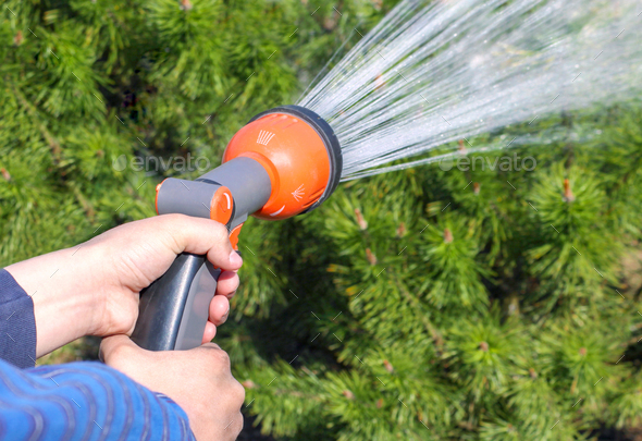 Human hand holding water sprinkler and watering green garden Stock ...
