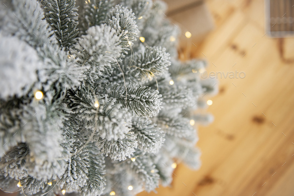 Top view of a snow-covered, artificial Christmas tree with bright ...