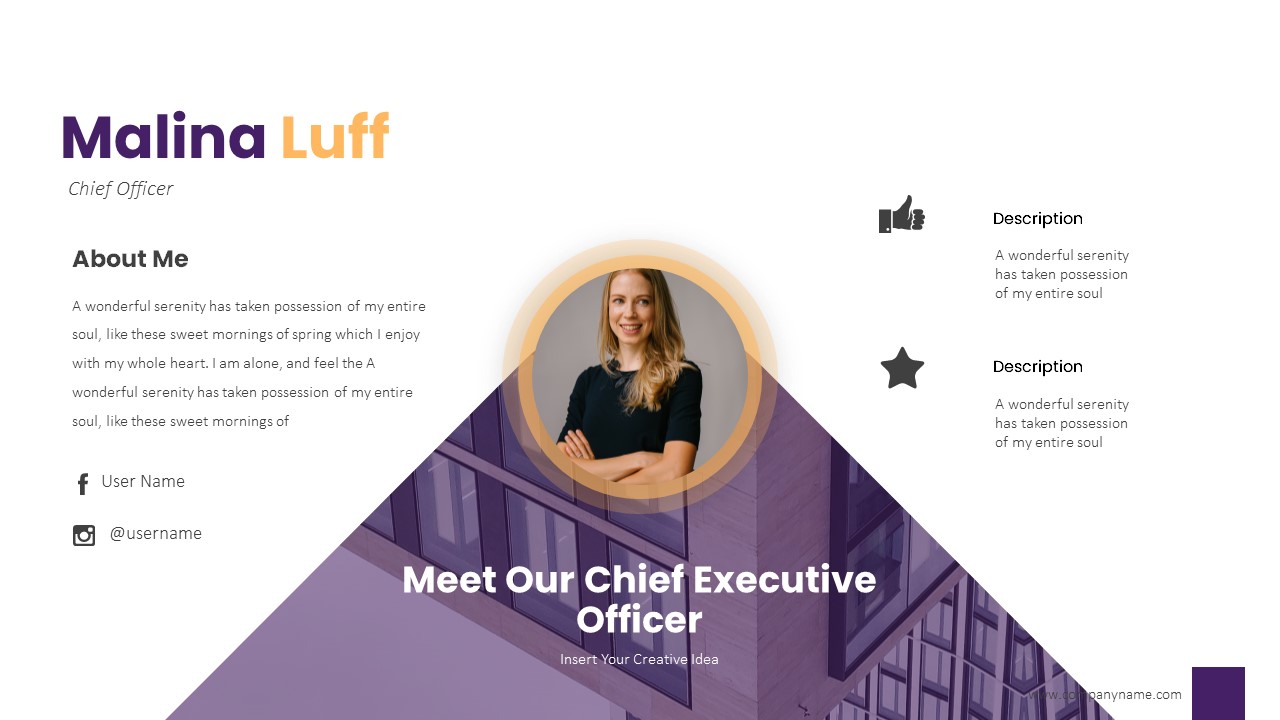 Data Team PowerPoint, Presentation Templates | GraphicRiver