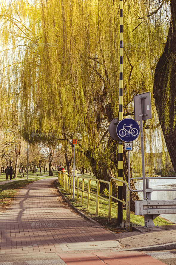 Empty Bike path in the park. Bicycle road in cozy park. Empty Bicycle ...