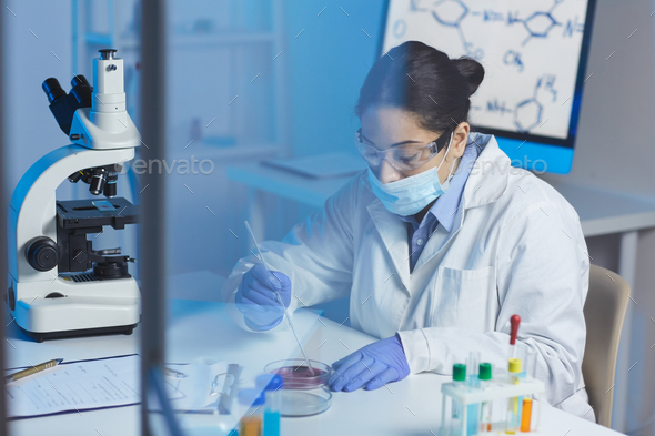 Indian biologist studying bacteria Stock Photo by Media_photos | PhotoDune