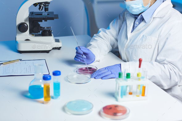 Studying microorganism in laboratory Stock Photo by Media_photos ...