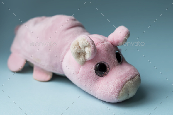 Plush toy pink pig on a blue background. Indoors, day light Front view ...