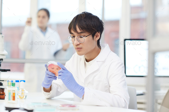 Focused on test sample in petri dish Stock Photo by Media_photos ...