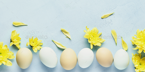 Easter concept. Eggs and yellow chrysanthemums flowers on blue ...