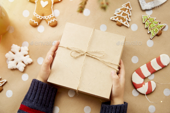 Child holds gift box. Crafting decoration, gingerbread cookies, branch ...