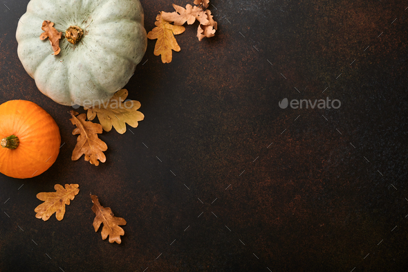Pumpkin. Autumn food background with cinnamon, nuts and seasonal spices ...