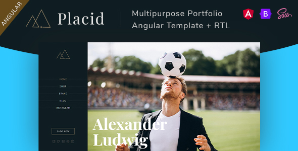Placid - Angular 15 Multipurpose Portfolio Website Template by EnvyTheme
