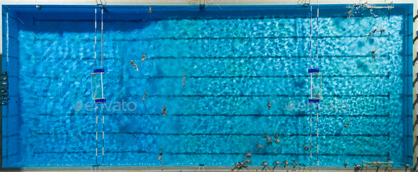 Aerial drone top view of swimming pool with athletes training water ...