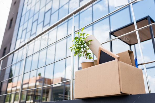 potted plant and disposable coffee cup in paper box on street near ...
