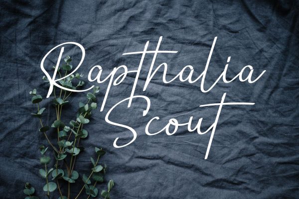 Findream, Fonts | GraphicRiver